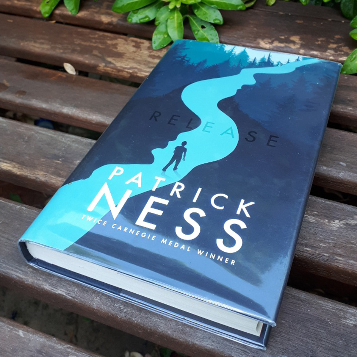 Review: Release by Patrick Ness – Books on the 7:47